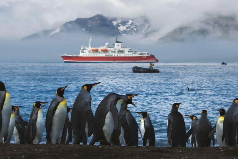 Antarctica Tourism Numbers Surge - Cruise Industry News | Cruise News