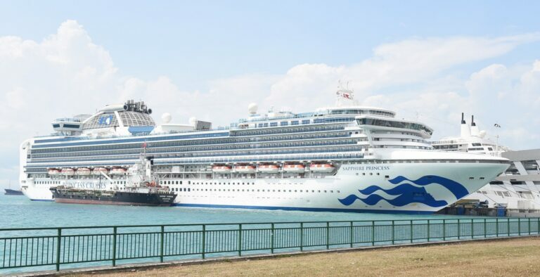 Princess Announces 2022-2023 South America and Antarctica Season ...