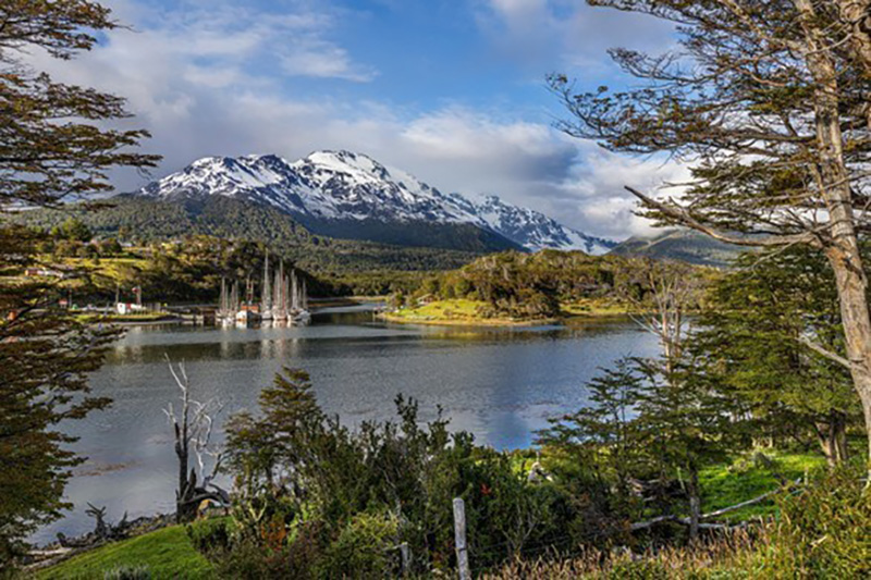 Silversea Highlights Land Experiences at Cormorant at 55 South - Cruise ...