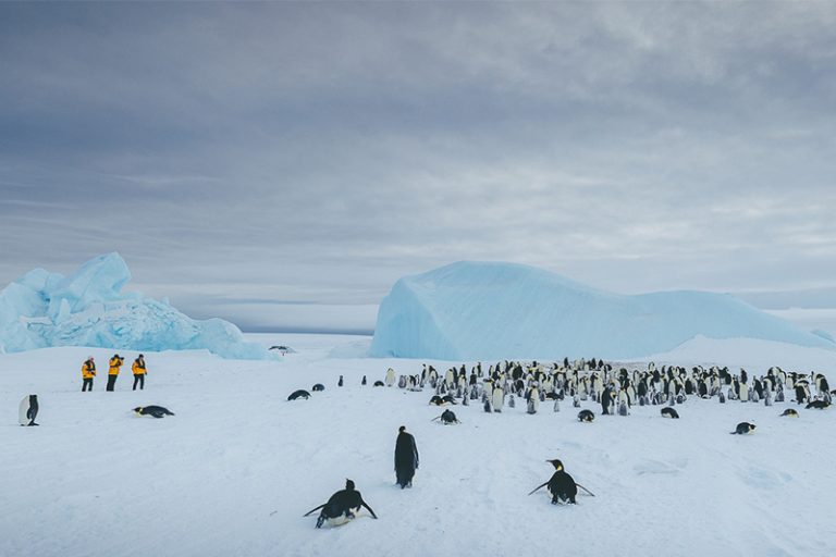 Quark Achieves Helicopter Access to Emperor Penguin Colony - Cruise ...